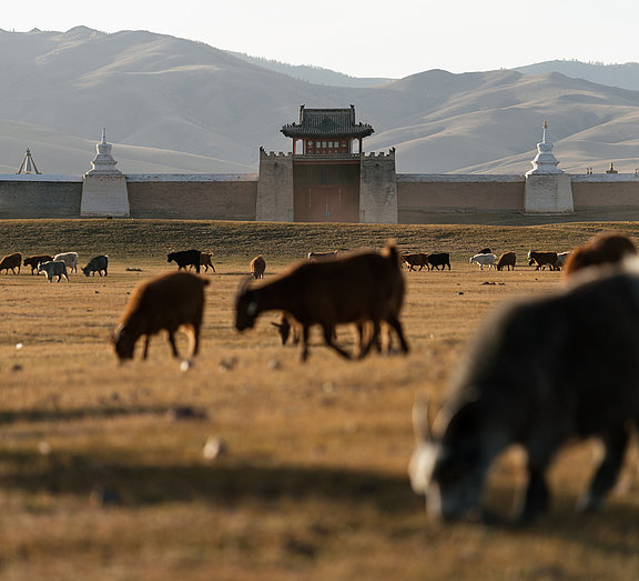 Wissenswertes zur Mongolei | Rotel Tours